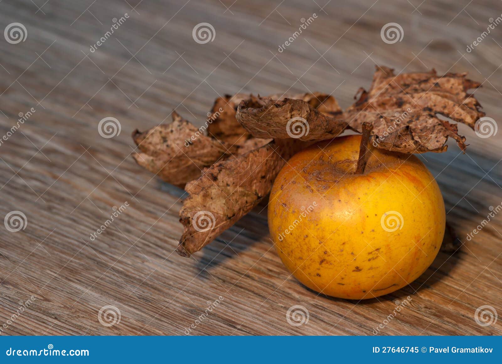 Autumn apple stock image. Image of fruit, autumn, apple - 27646745
