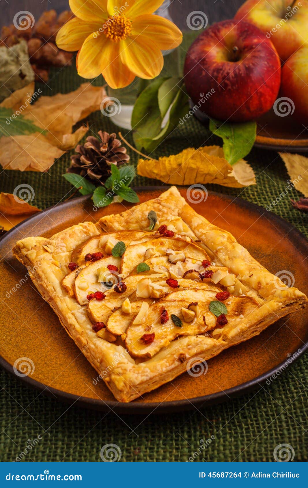 Autumn apple tart stock photo. Image of brown, bake, fruit - 45687264