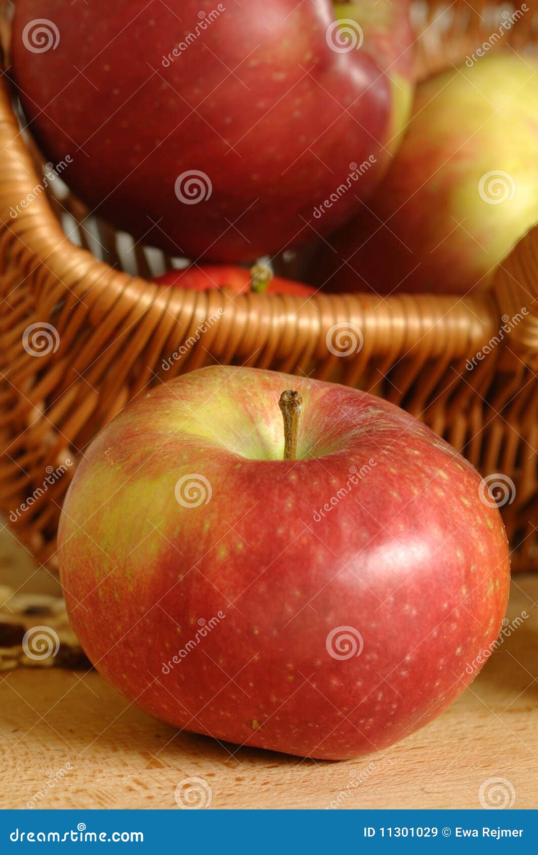 Autumn apples stock image. Image of autumn, ripe, apple - 11301029