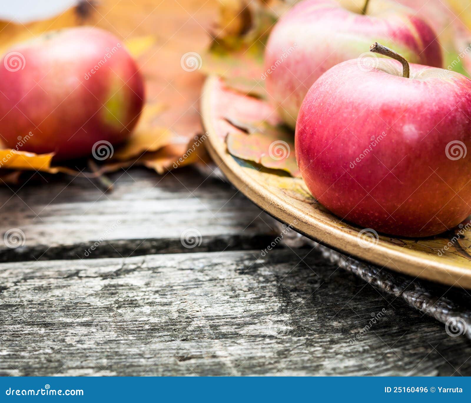 Autumn apples stock photo. Image of juicy, foliage, diet - 25160496