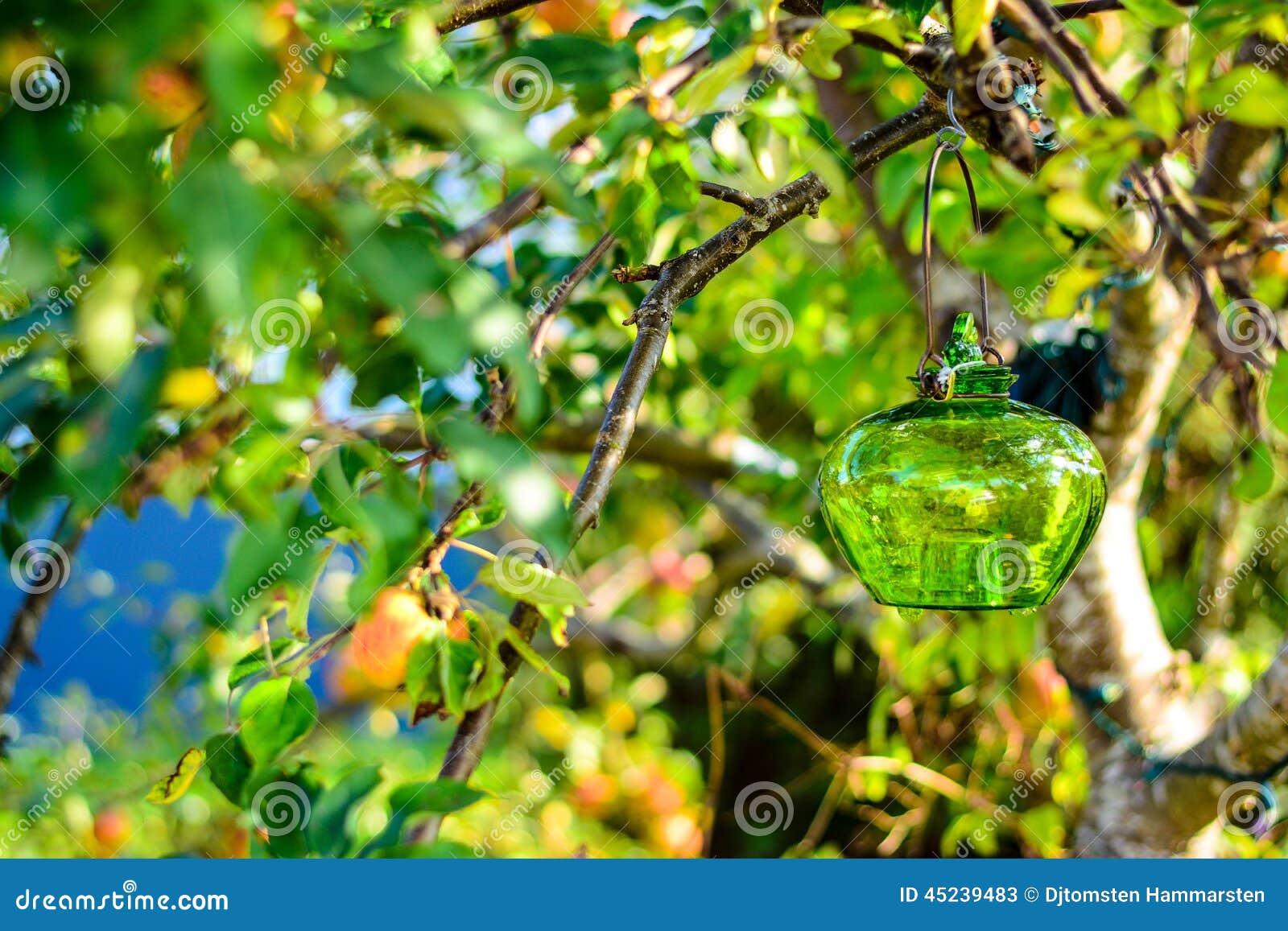 Autumn apples stock image. Image of life, eating, healthy - 45239483