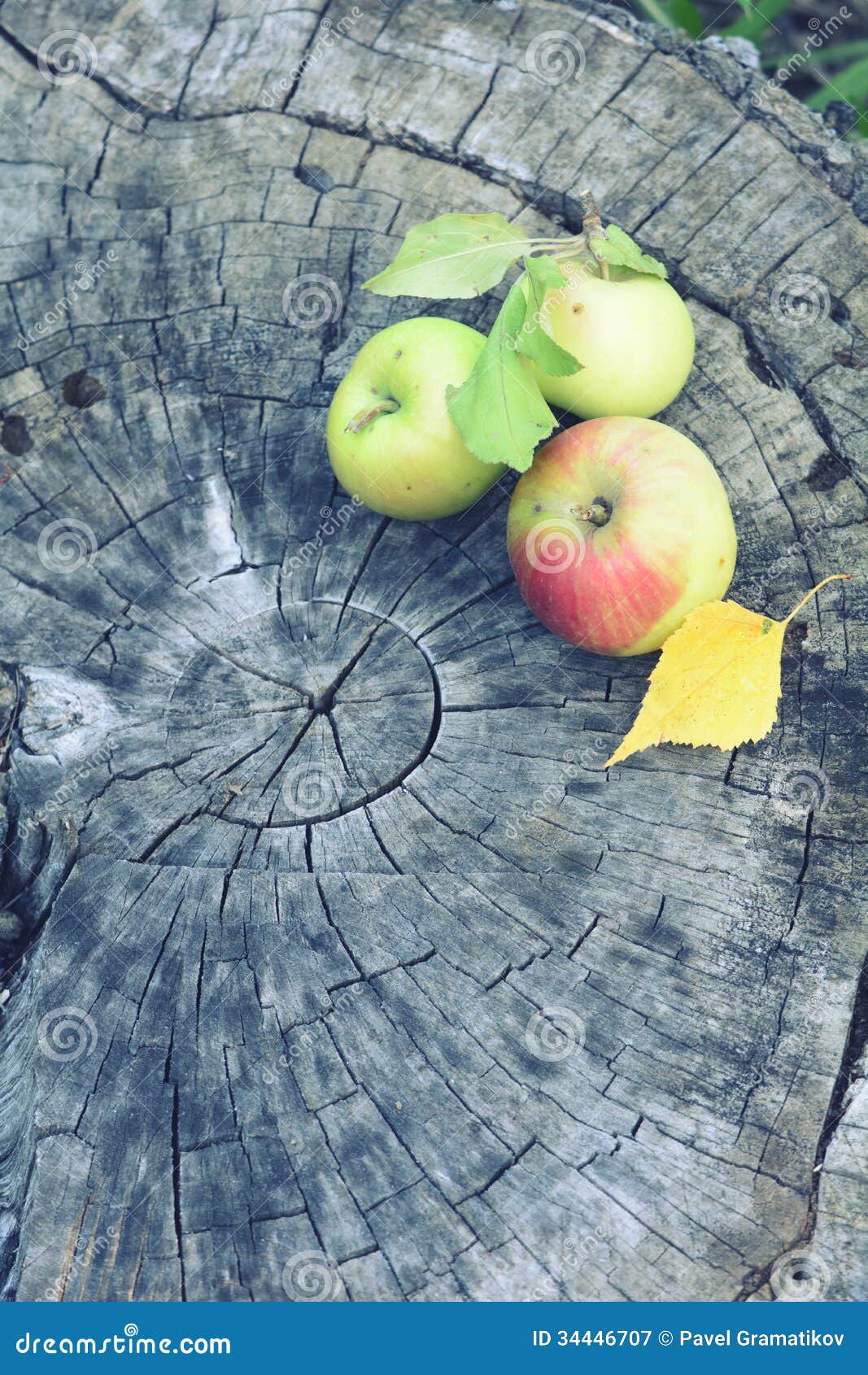 Autumn apples stock image. Image of grapes, ingredient - 34446707