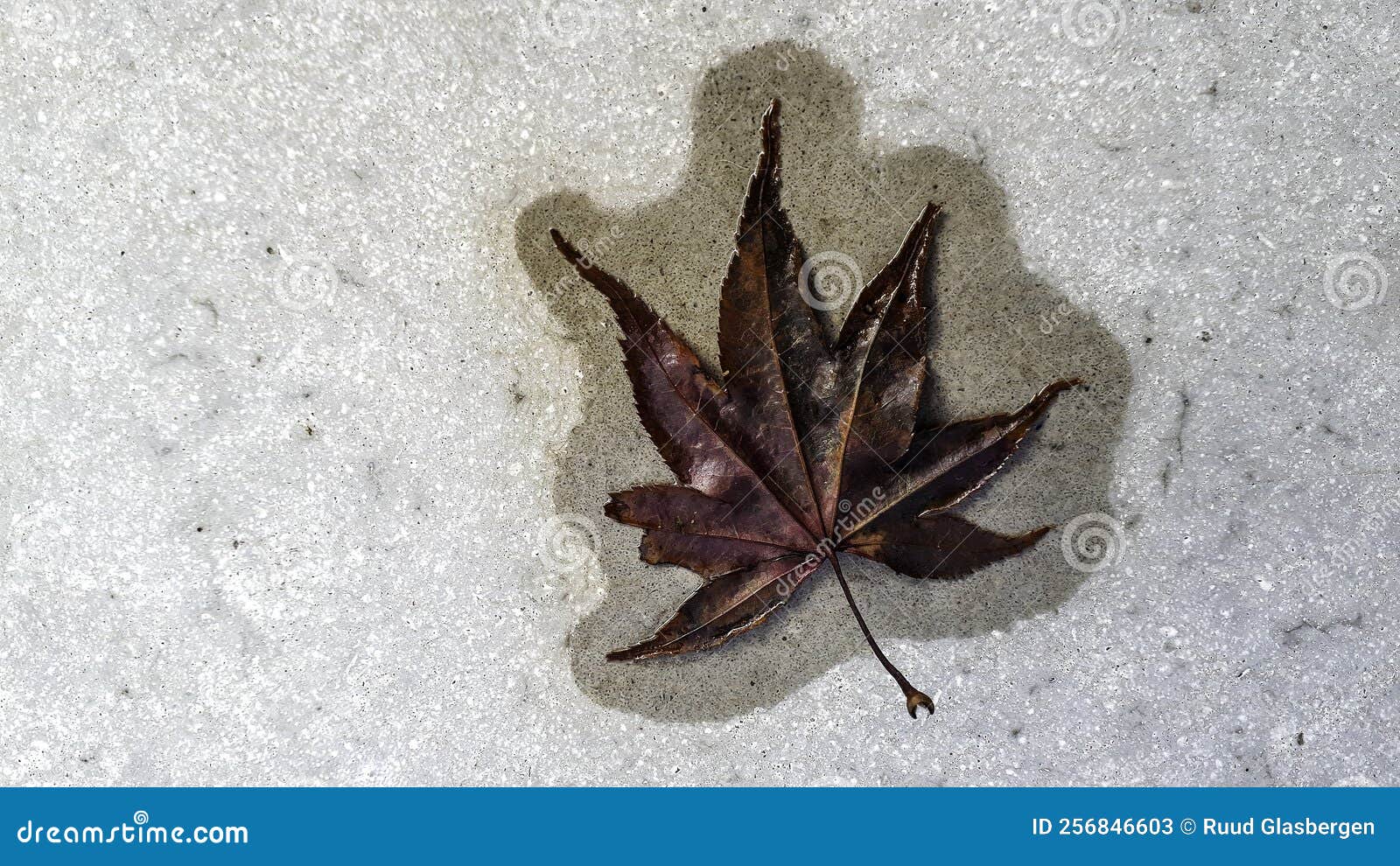 Autumn is Approaching, Traces of Natural Decay are Visible Everywhere ...