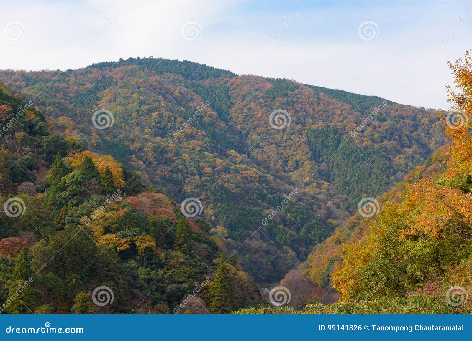 Autumn at Arashiyama View Point Stock Photo - Image of park, november ...