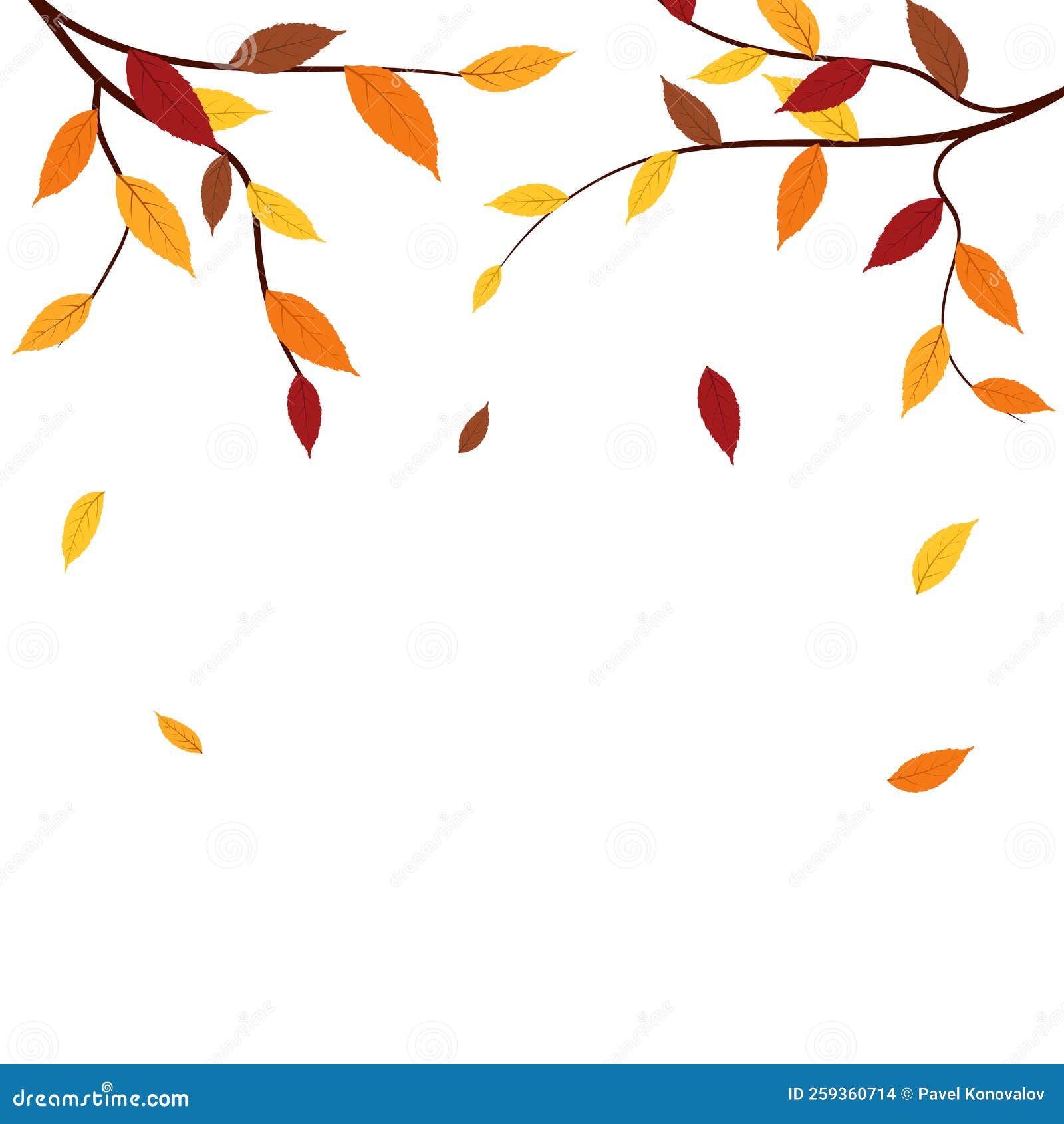Ash-Tree Leaves Branch stock vector. Illustration of macro - 259360714