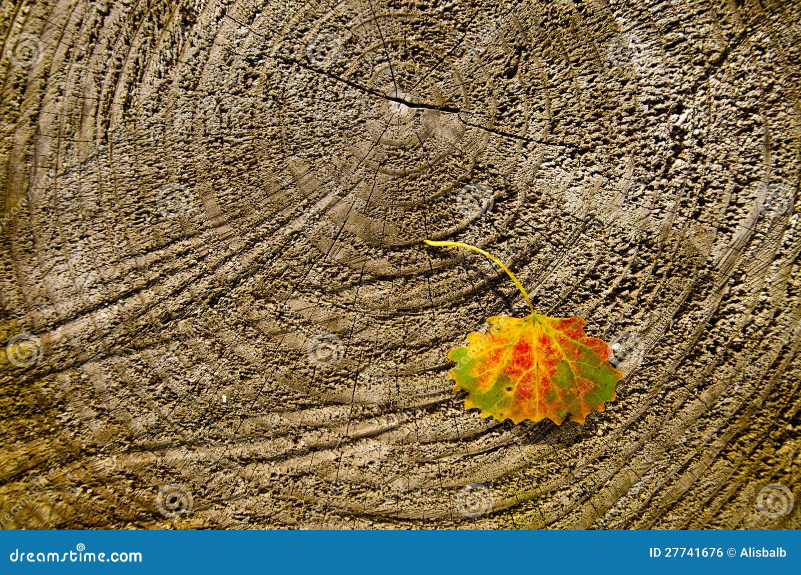 Autumn Asp Leaf on Wooden Background Stock Photo - Image of detail ...