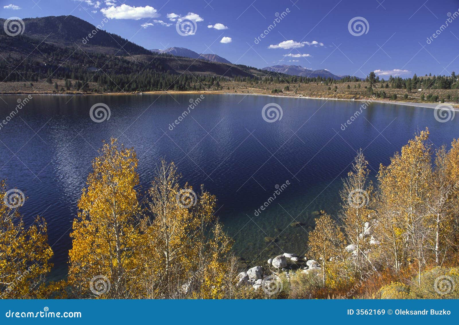 Autumn aspens at June Lake stock image. Image of calm - 3562169