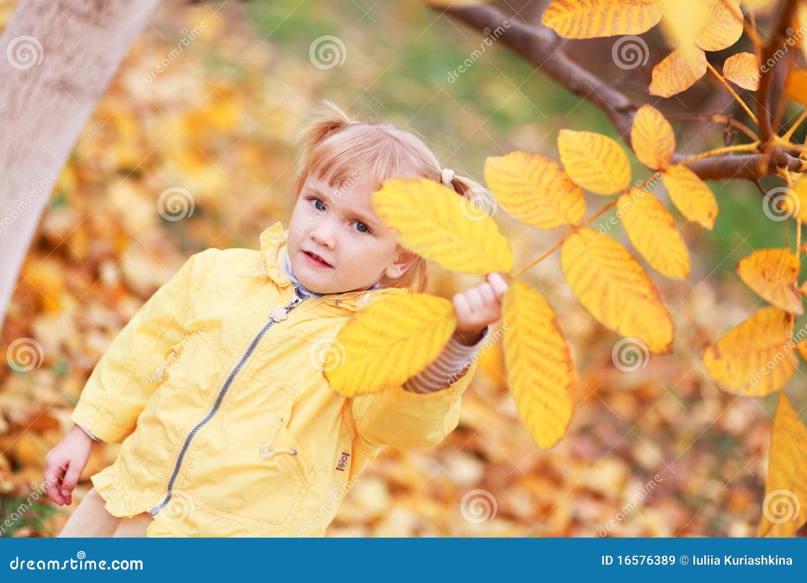 Autumn baby stock image. Image of autumn, clothes, fall - 16576389
