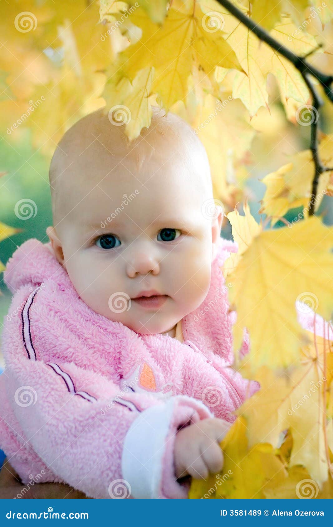 Autumn baby stock image. Image of outdoors, human, holding - 3581489