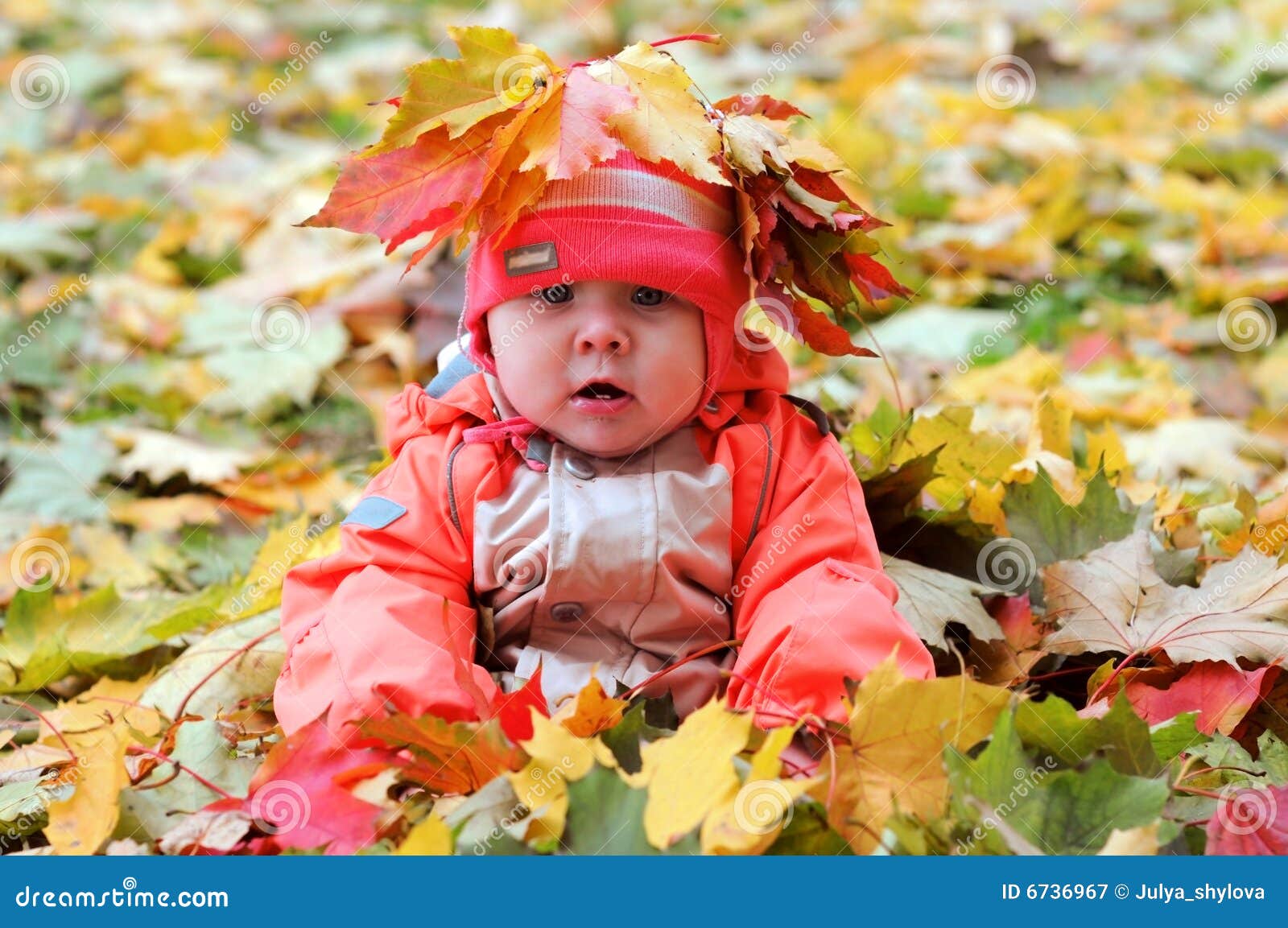 Autumn Baby stock image. Image of autumn, toddler, caucasian - 6736967