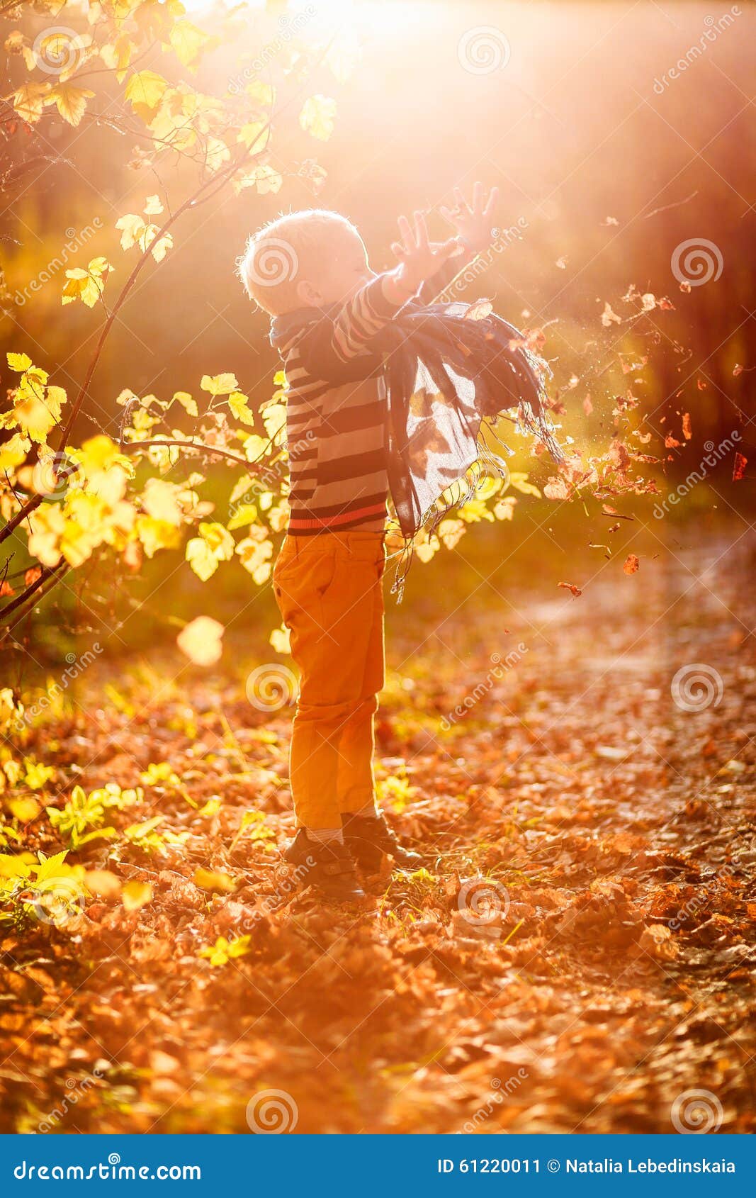 Autumn Baby Boy Under a Tree Throwing Yellow Leaves Stock Image - Image ...