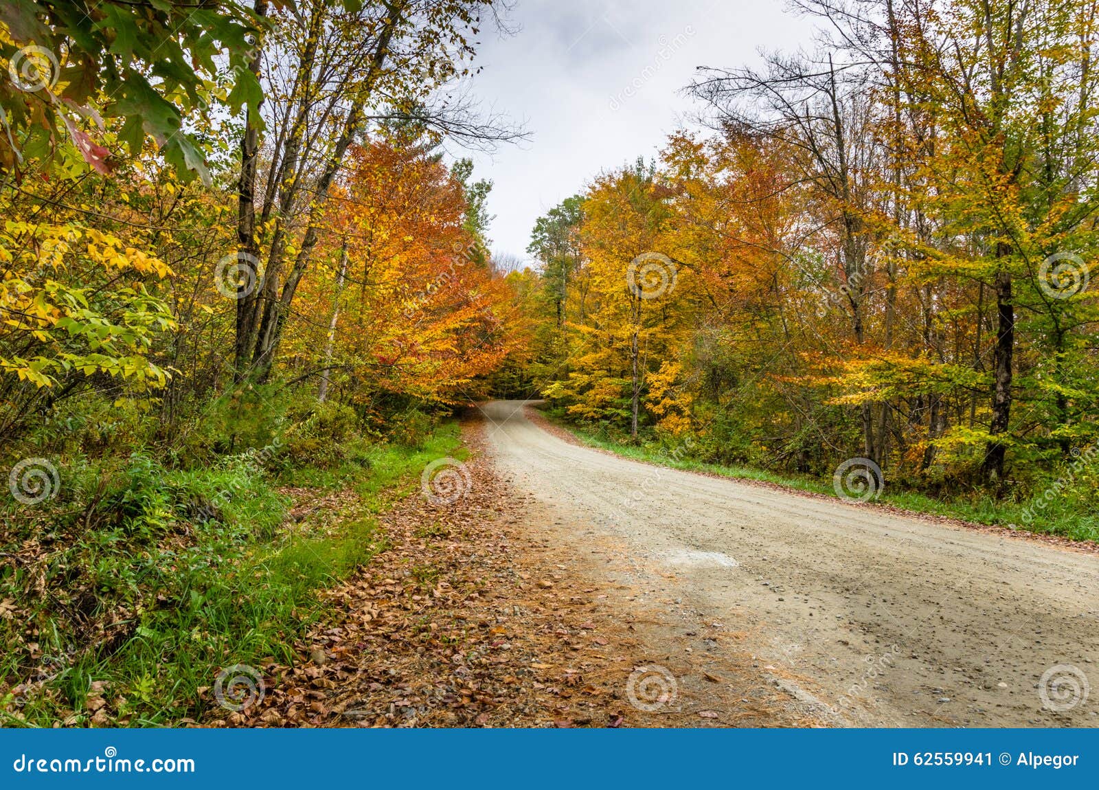 Autumn Back Road stock image. Image of overcast, cloud - 62559941
