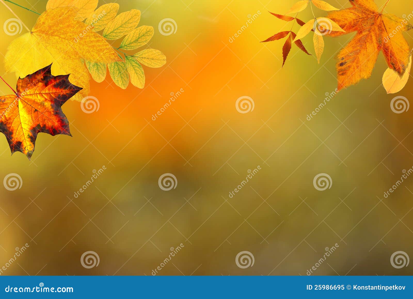 Autumn backdrop stock image. Image of foliage, element - 25986695