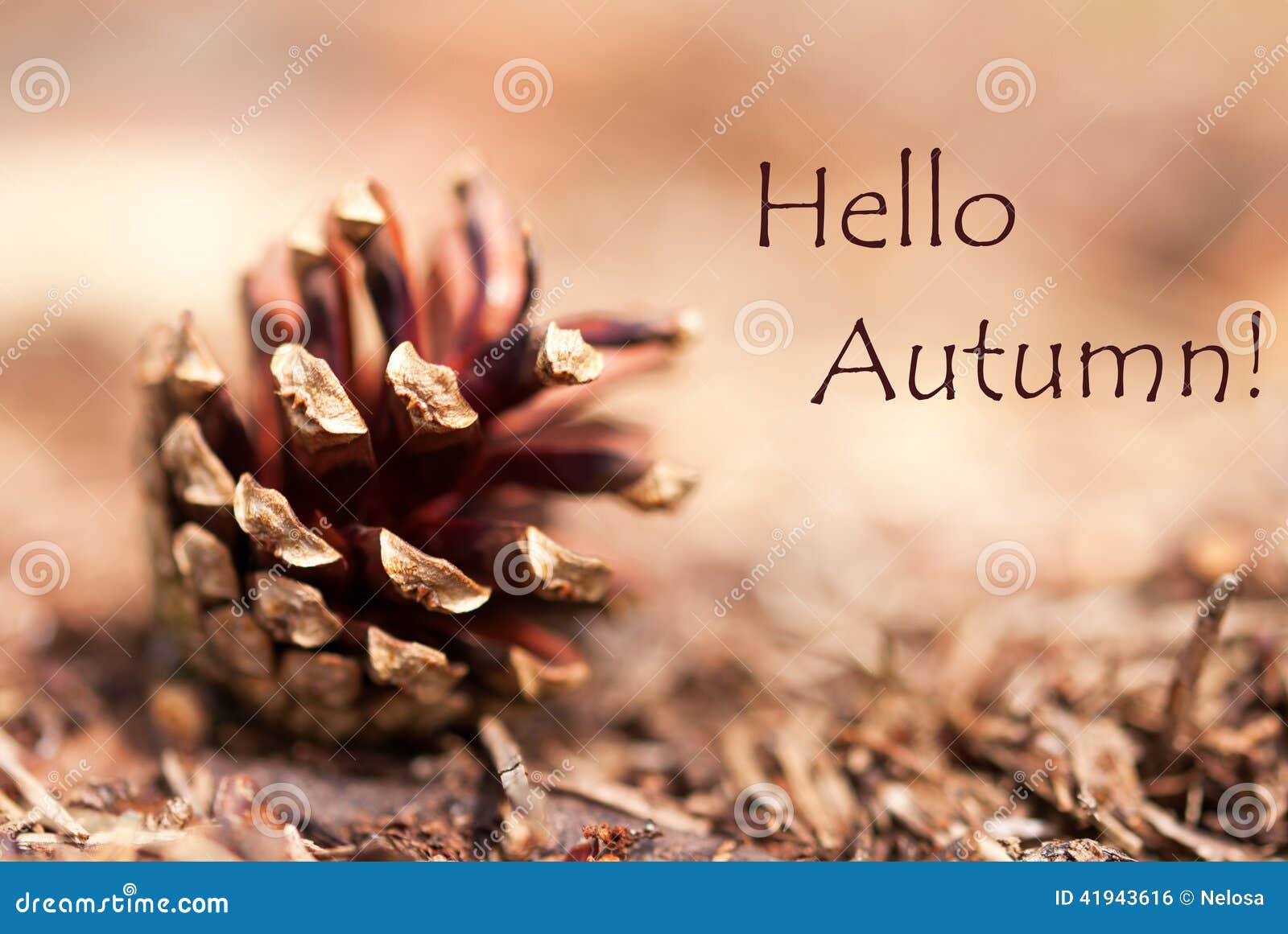Autumn Background Avec Bonjour L'automne Photo stock - Image du texte ...