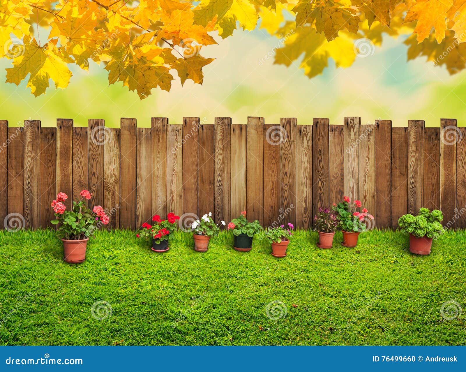 Autumn Background at Backyard Stock Photo - Image of terrace, fall ...