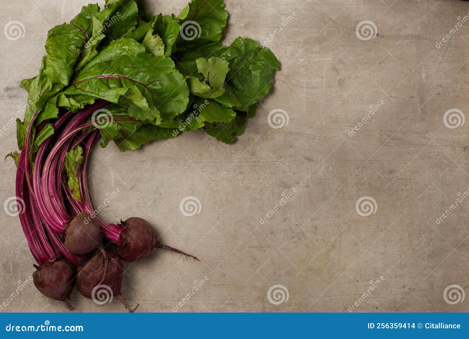 Autumn Background with Beetroot Stock Photo - Image of organic ...