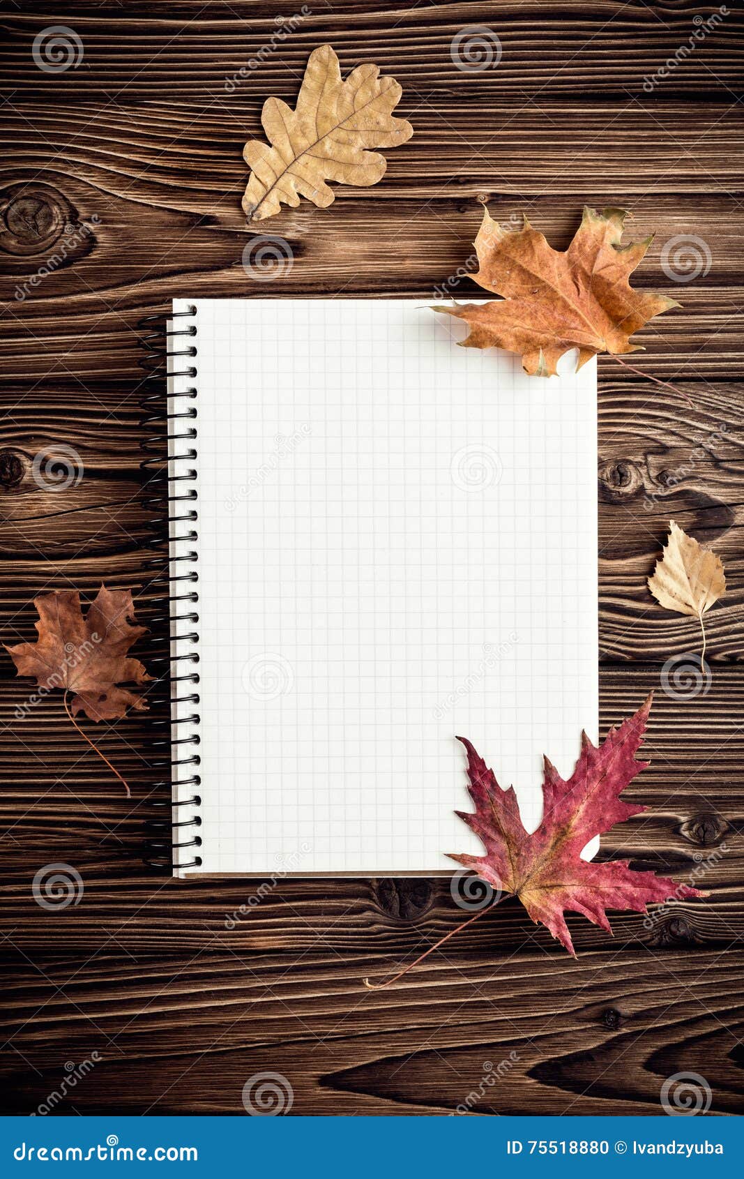 Autumn background stock photo. Image of object, brown - 75518880