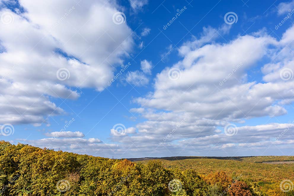 Autumn Background with Blue Sky Stock Image - Image of fall, bright ...