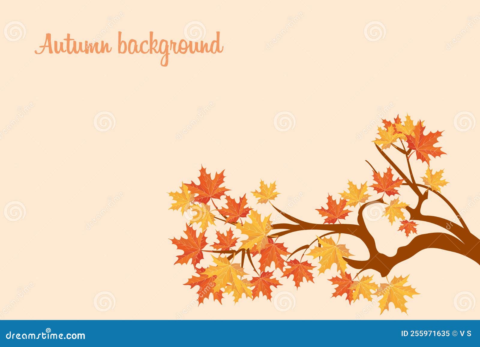 Autumn Background with a Branch with Autumn Maple Leaves. Background ...