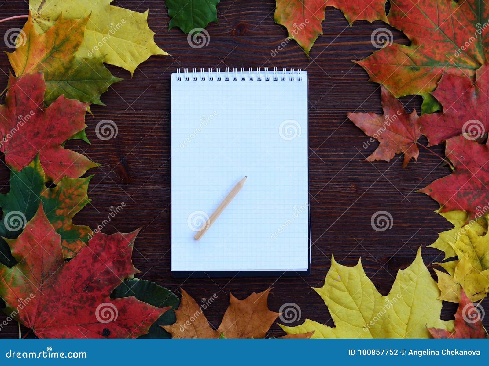 Autumn Background with Colored Leaves and Notepad Stock Photo - Image ...