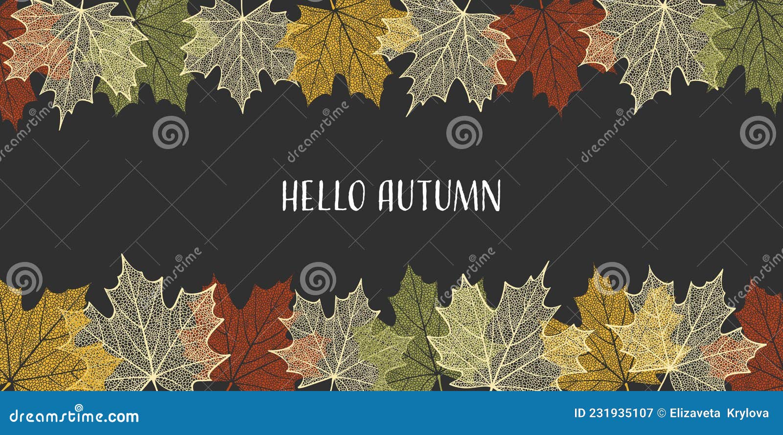 Autumn Background with Colorful Skeleton Maple Leaves on Dark ...