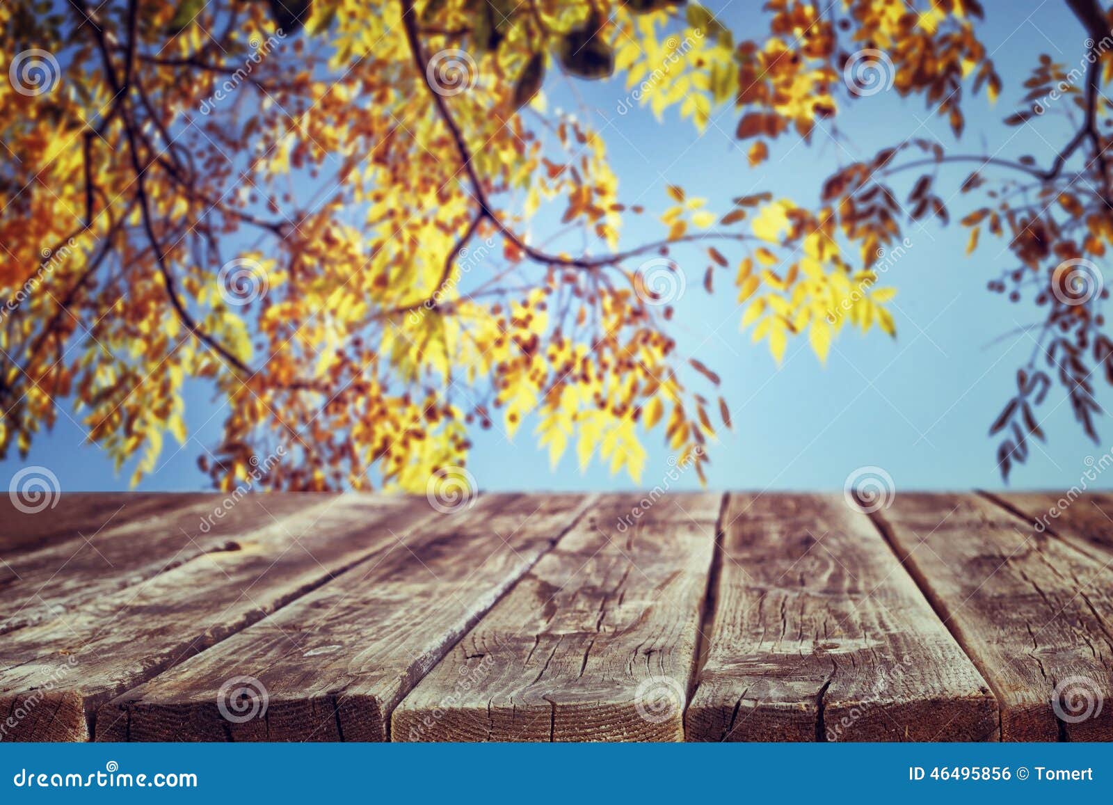 Autumn Background with Colorfull Foilage Background and Rustic Wood ...