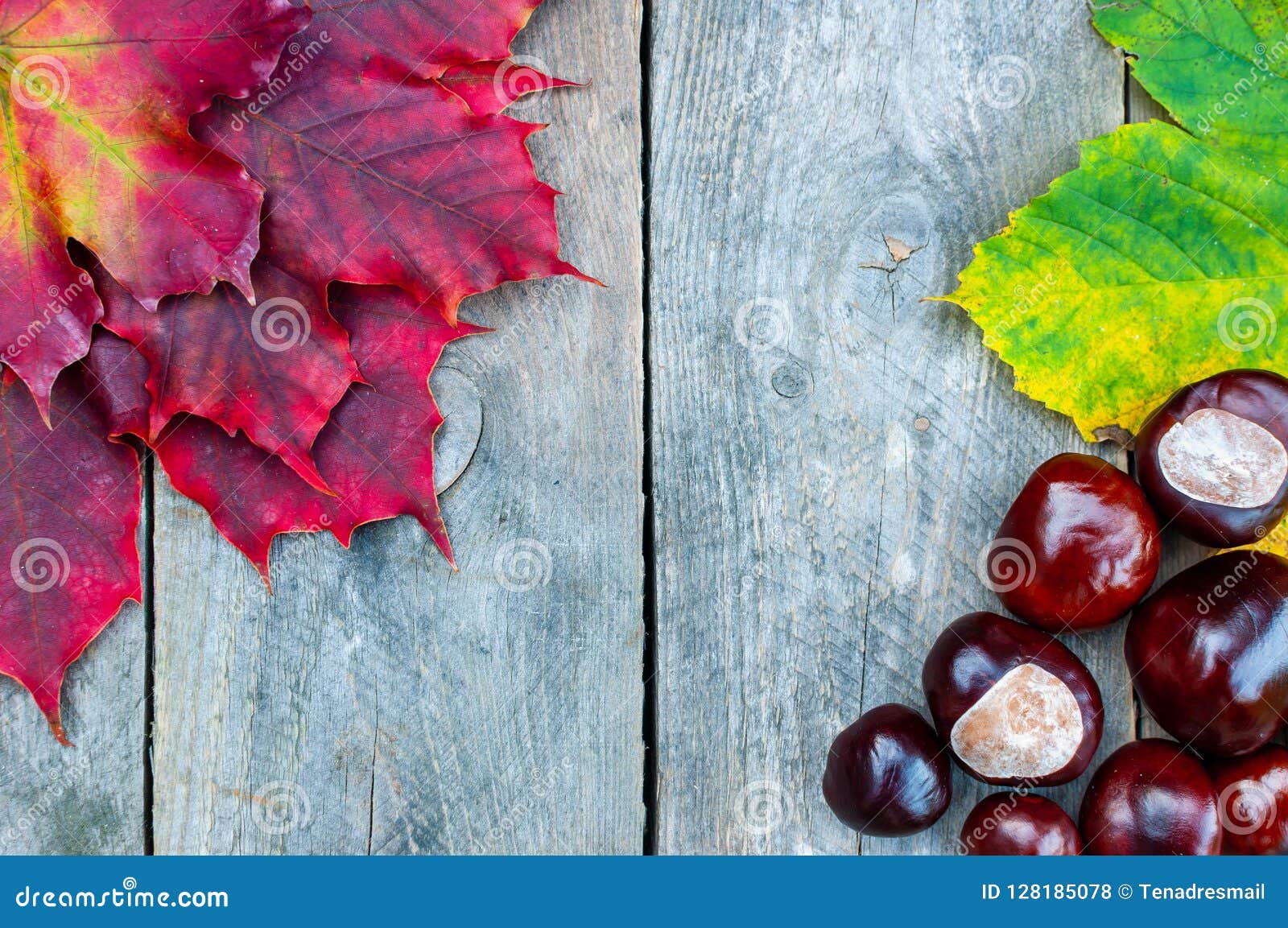 Autumn Background with Leafs and Chestnuts Stock Photo - Image of ...
