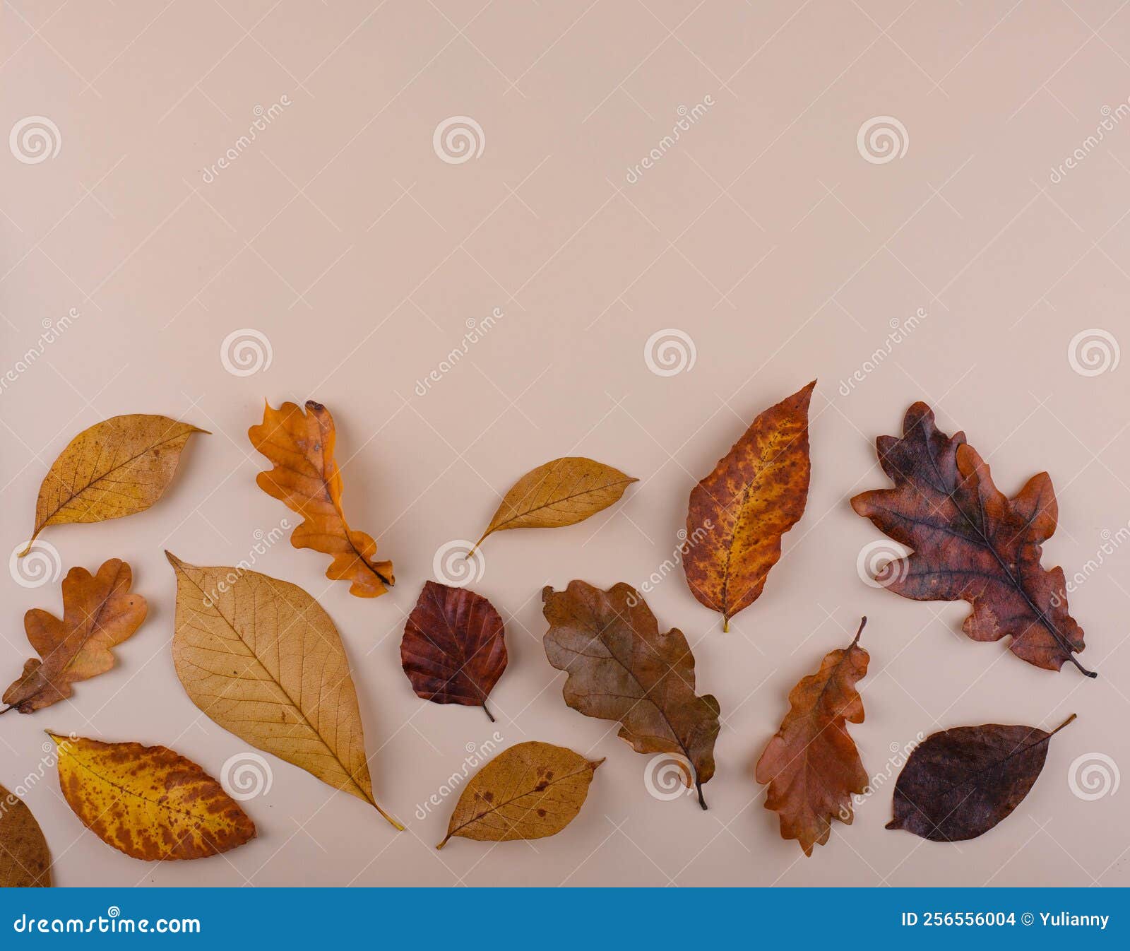 Autumn Background with Dry Leaves. Stock Photo - Image of pattern ...