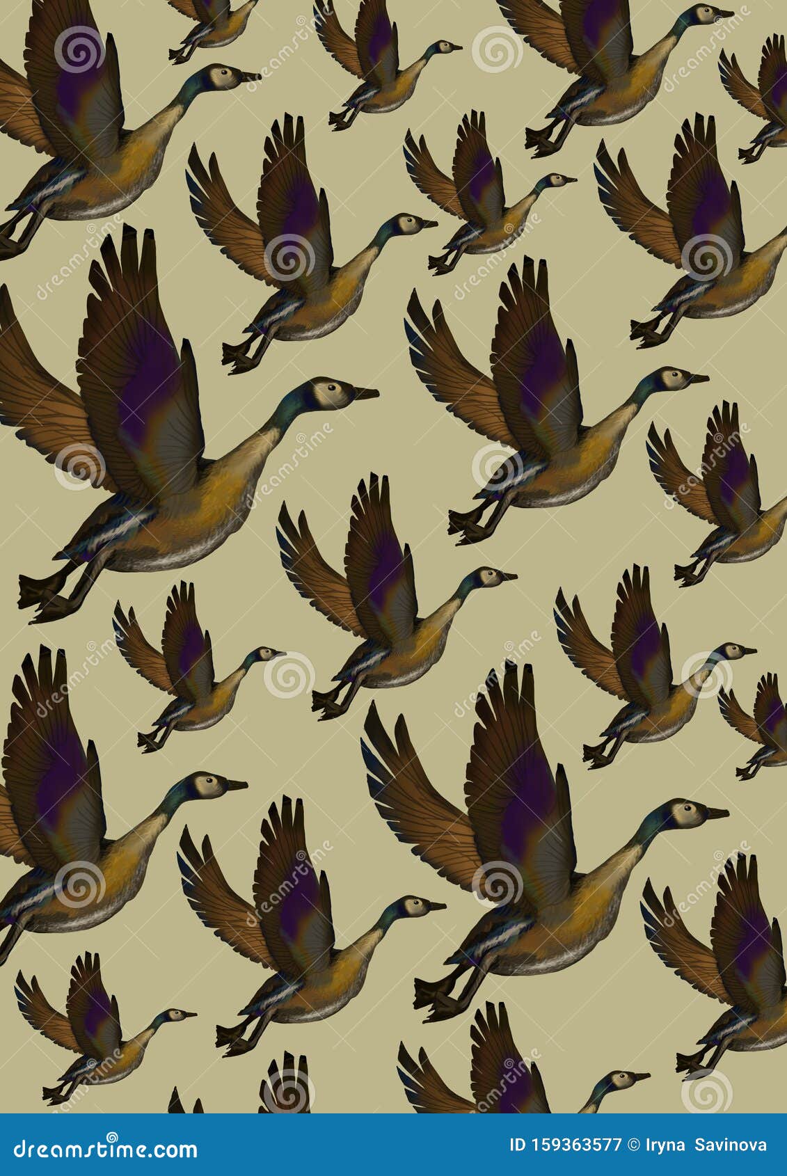 A Flock Of Ducks. A Cartoon Flock Of Birds. Vector Illustration Of ...