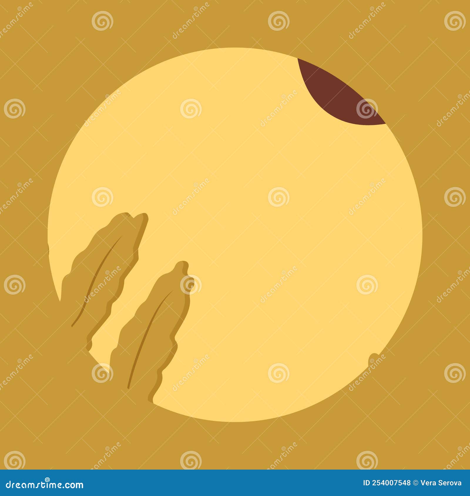 Botany. Set Of Leaves And Flowers. Tropical Plants. 3d Realistic Vector ...