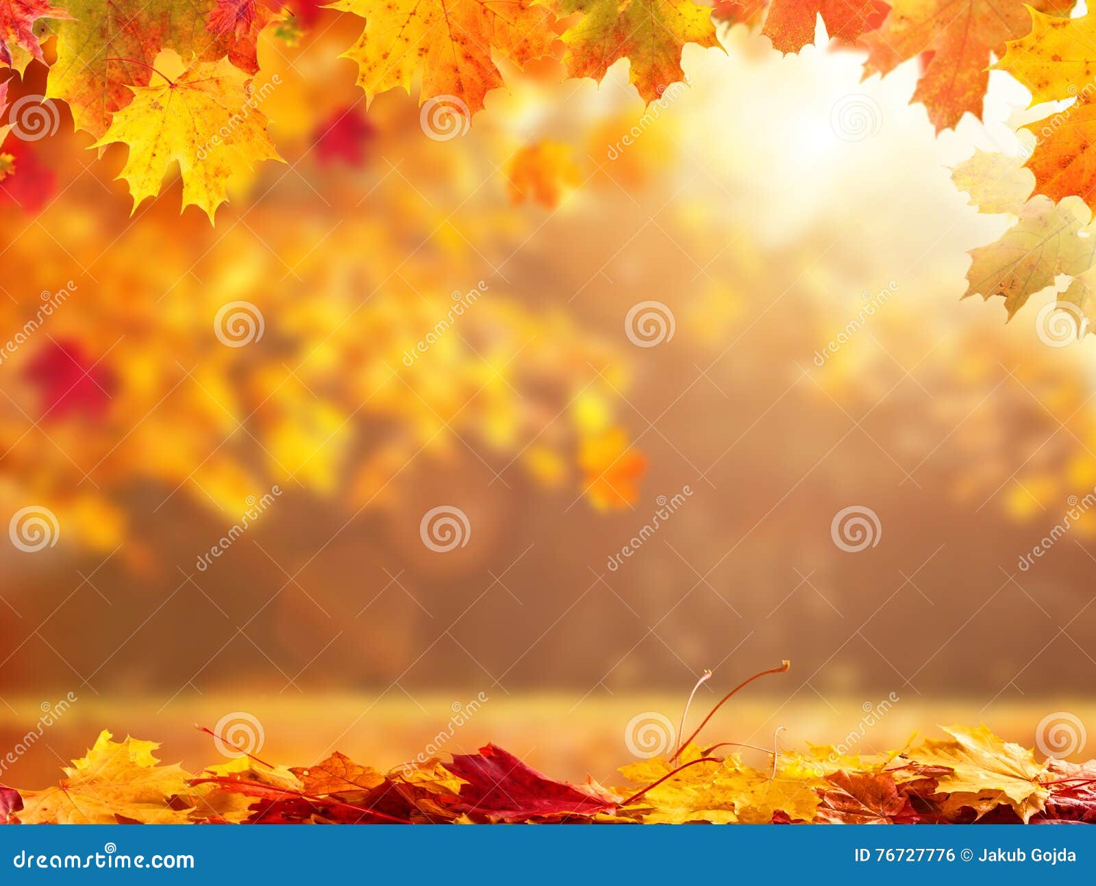 Autumn Background with Empty Planks Stock Photo - Image of decoration ...