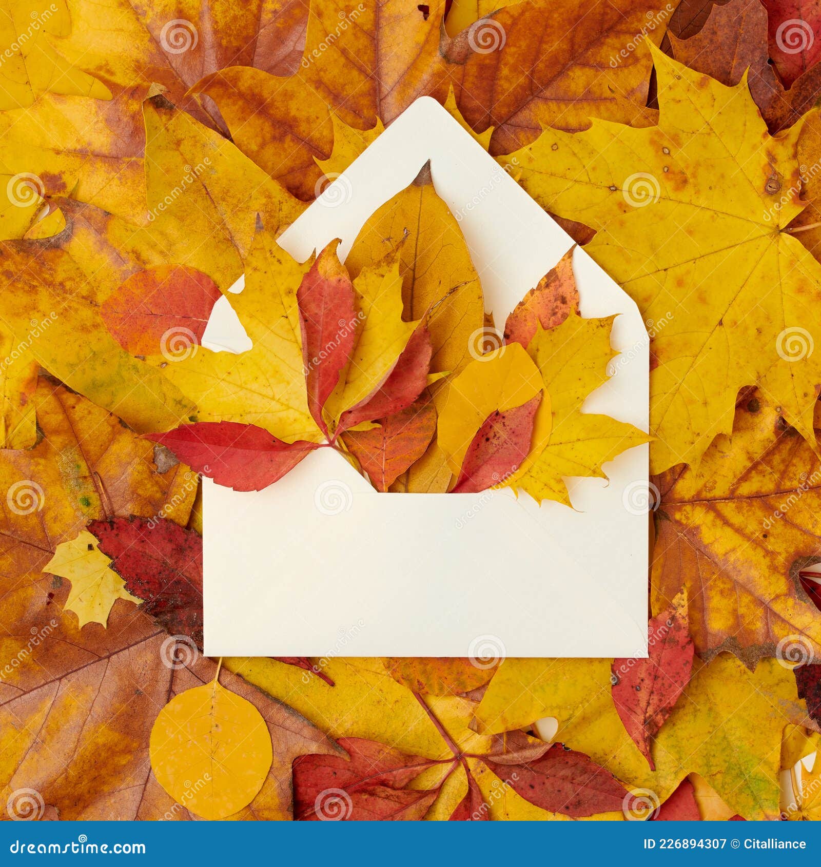 Autumn Background with Envelope and Leaves Stock Image - Image of life ...