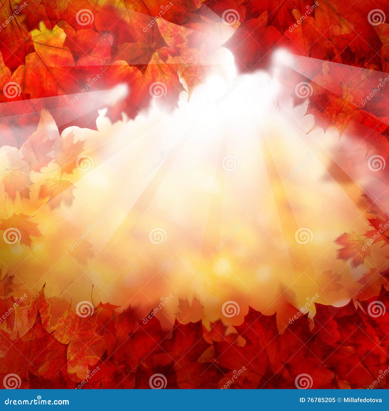 Autumn Background with Fall Leaves and Sun Glow Stock Image - Image of ...
