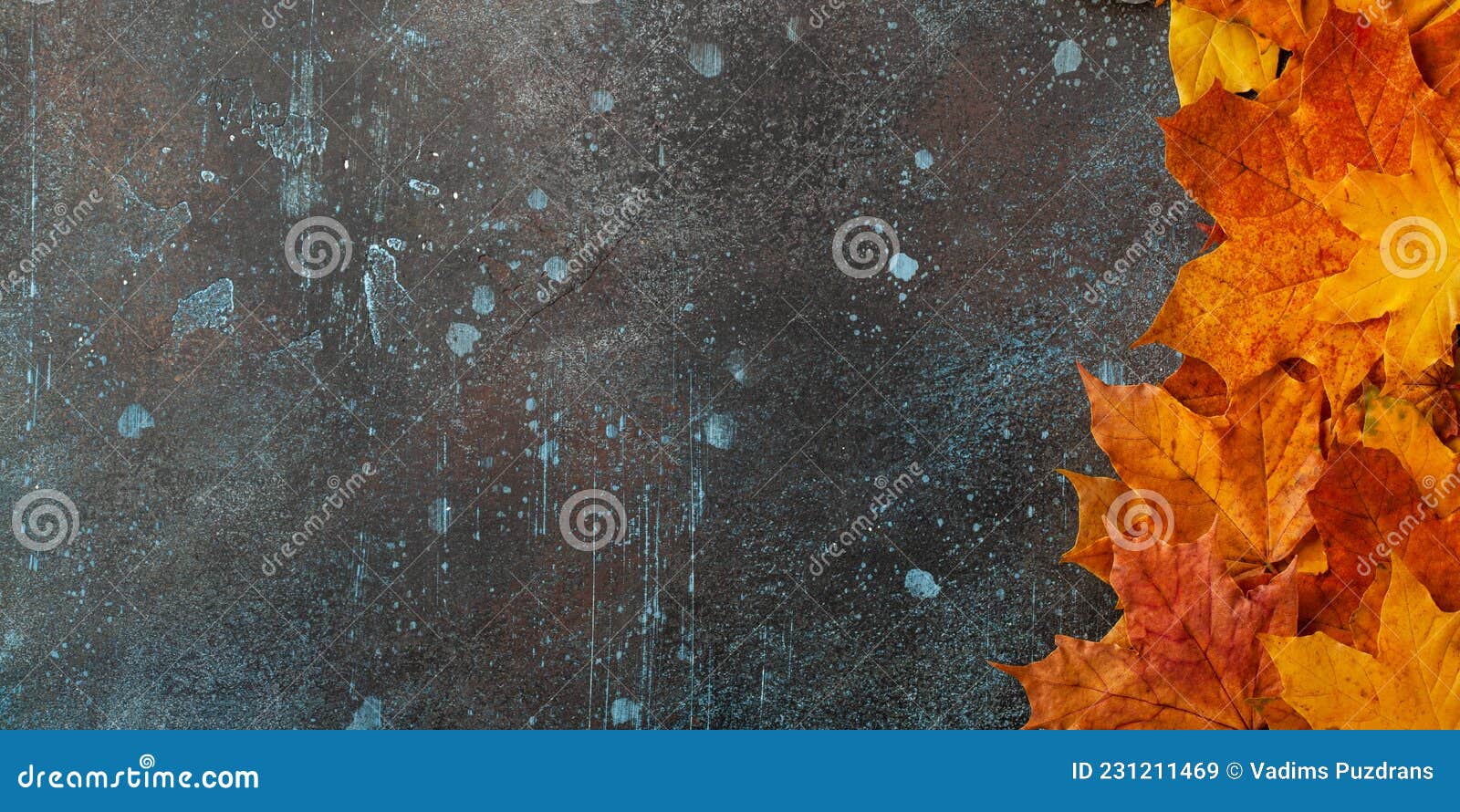 Autumn Background with Fall Maple Leaves on Rusted Metallic Surface ...