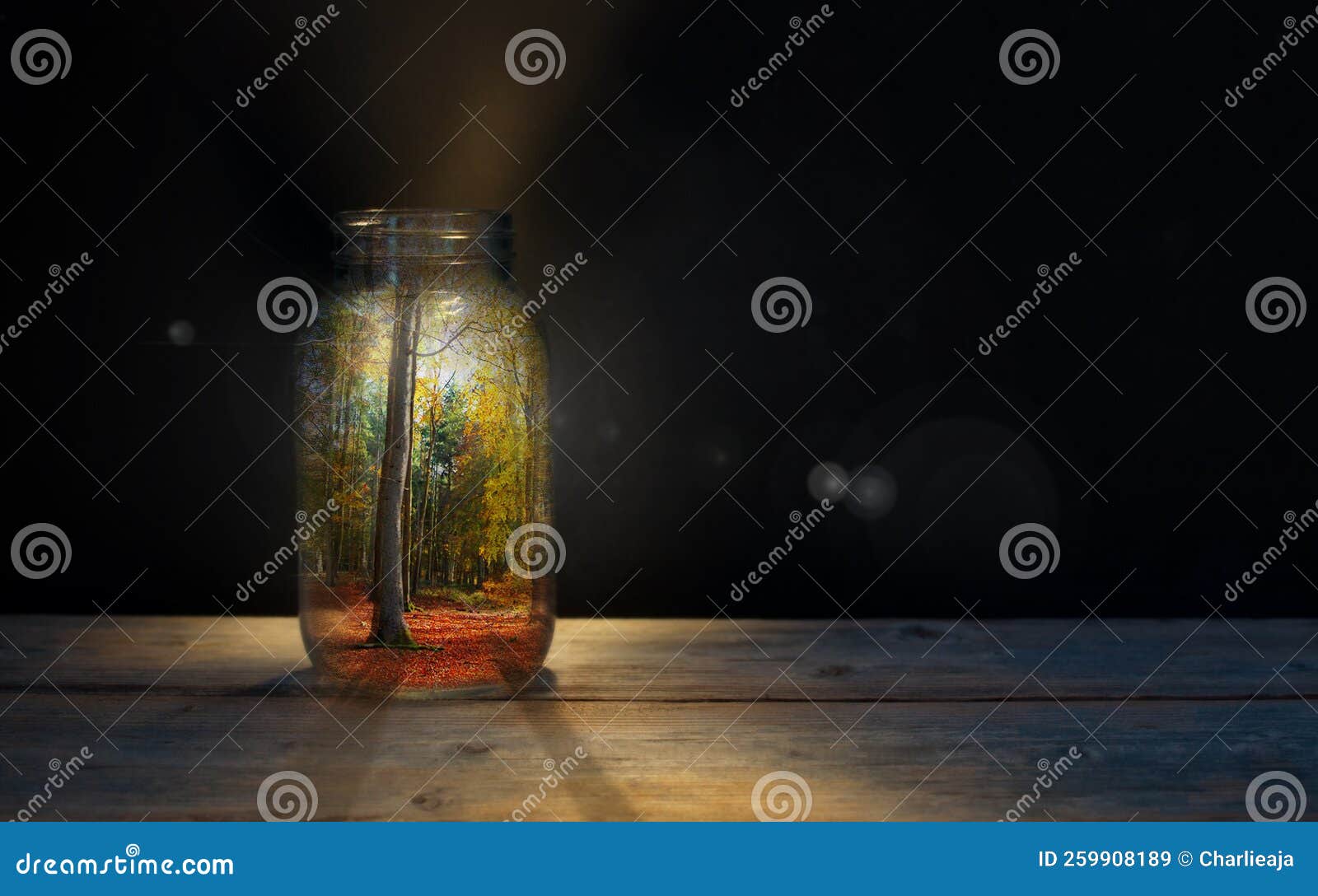 Autumn forest in a jar stock image. Image of bokeh, mason - 259908189