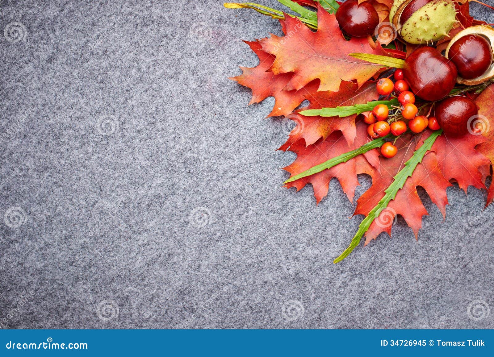 Autumn background stock image. Image of berry, copy, wool - 34726945