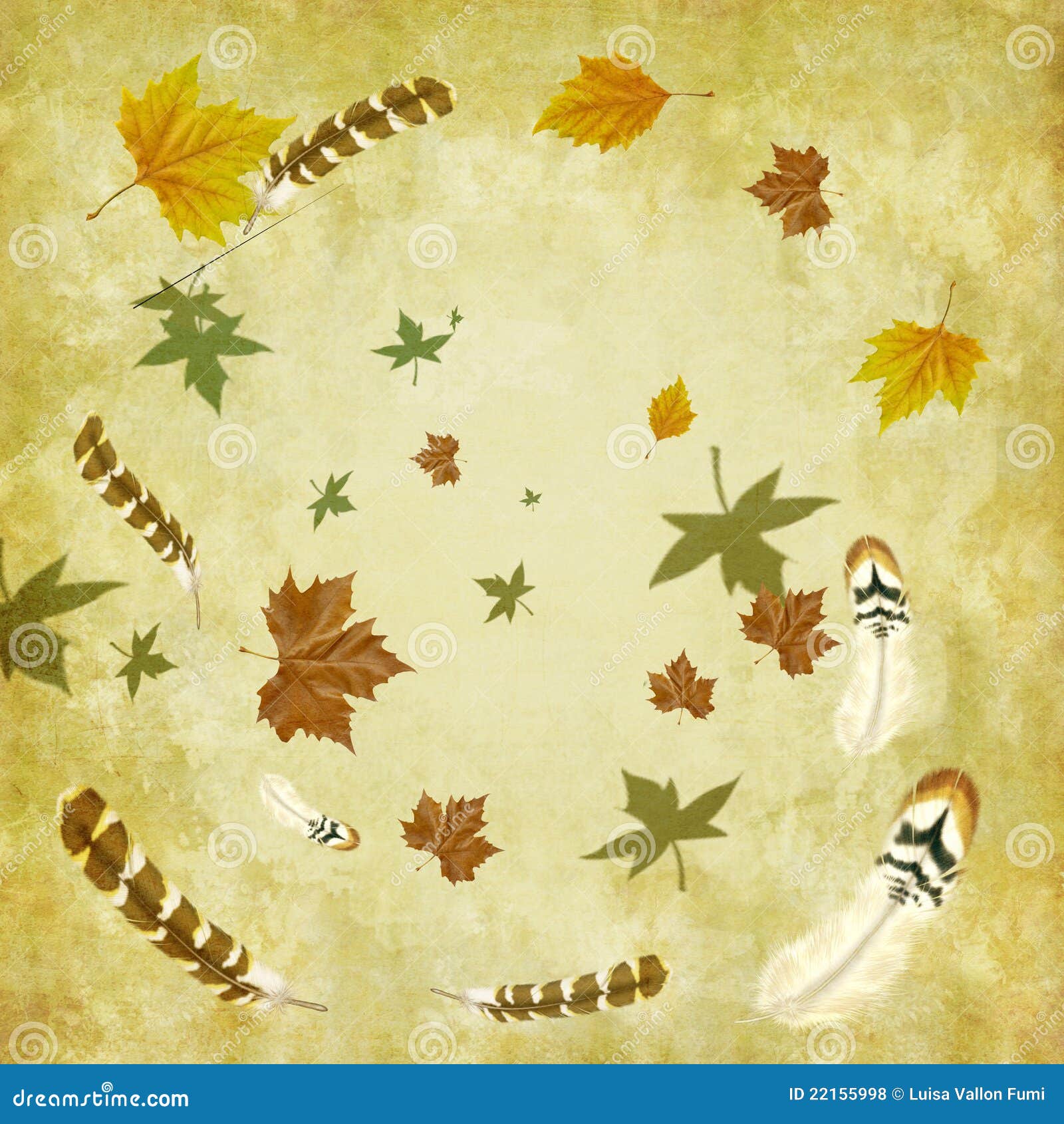 Autumn Background with Leaves and Bird Feathers Stock Illustration ...
