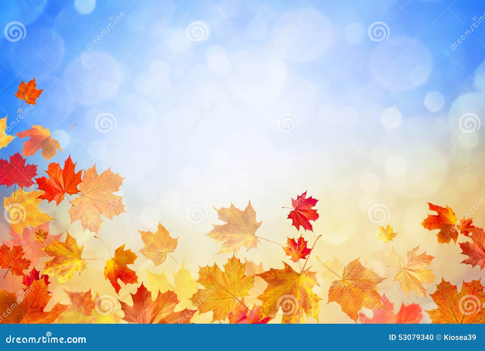 Autumn background stock photo. Image of frame, beautiful - 53079340