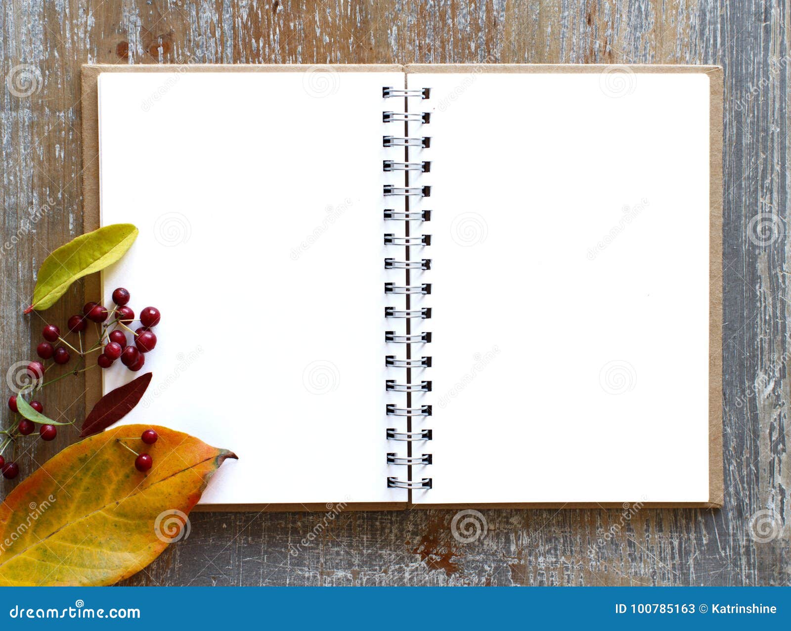 Autumn Background with Leaves and Open Notebook Stock Image - Image of ...