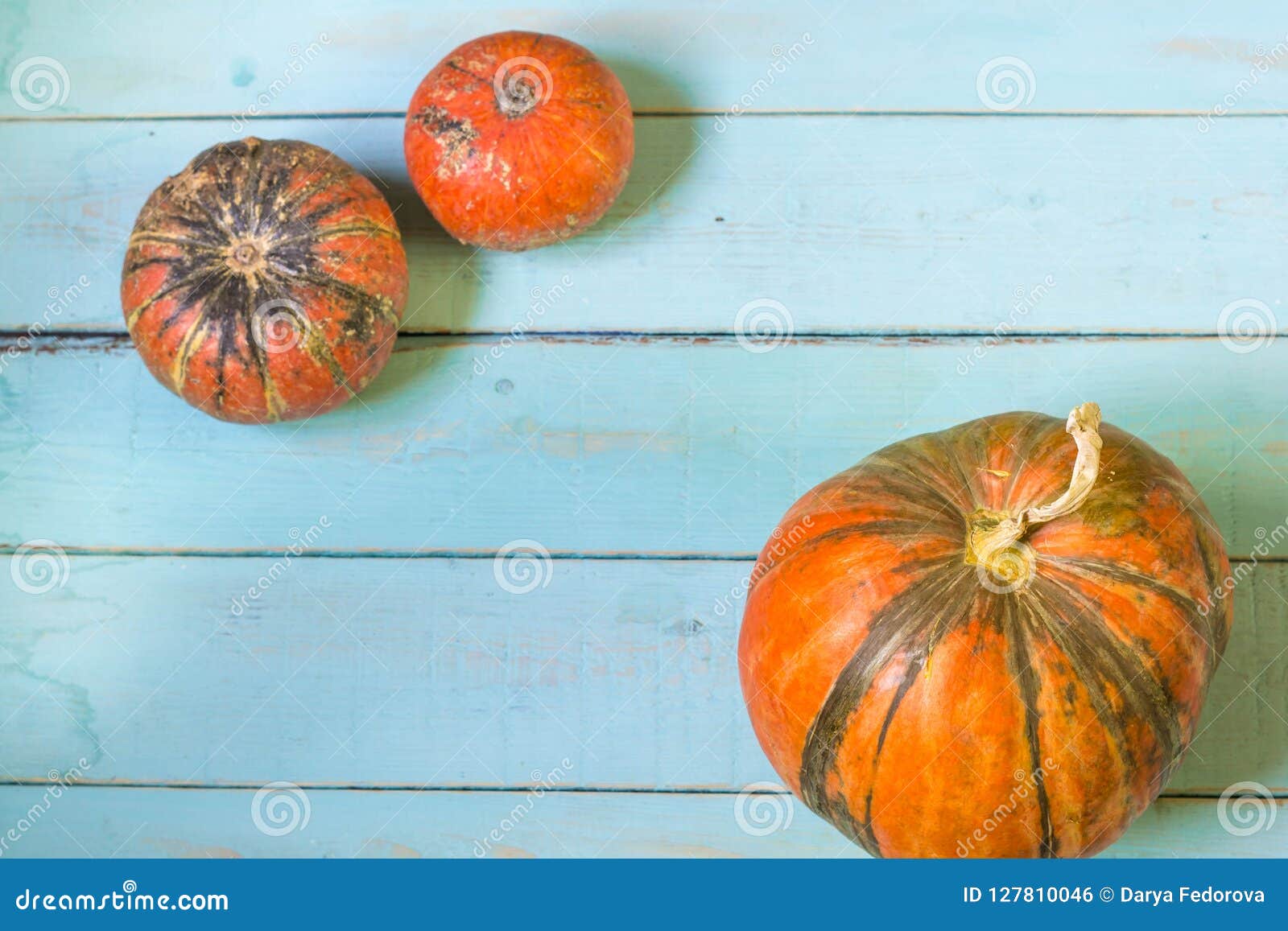 Autumn Background with Mini Pumpkins Overhead View with Copy Space ...
