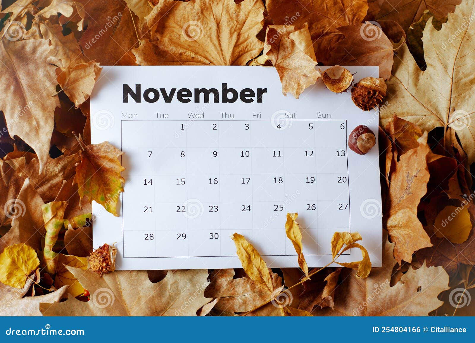 Autumn Background with November Calendar and Leaves Stock Photo - Image ...