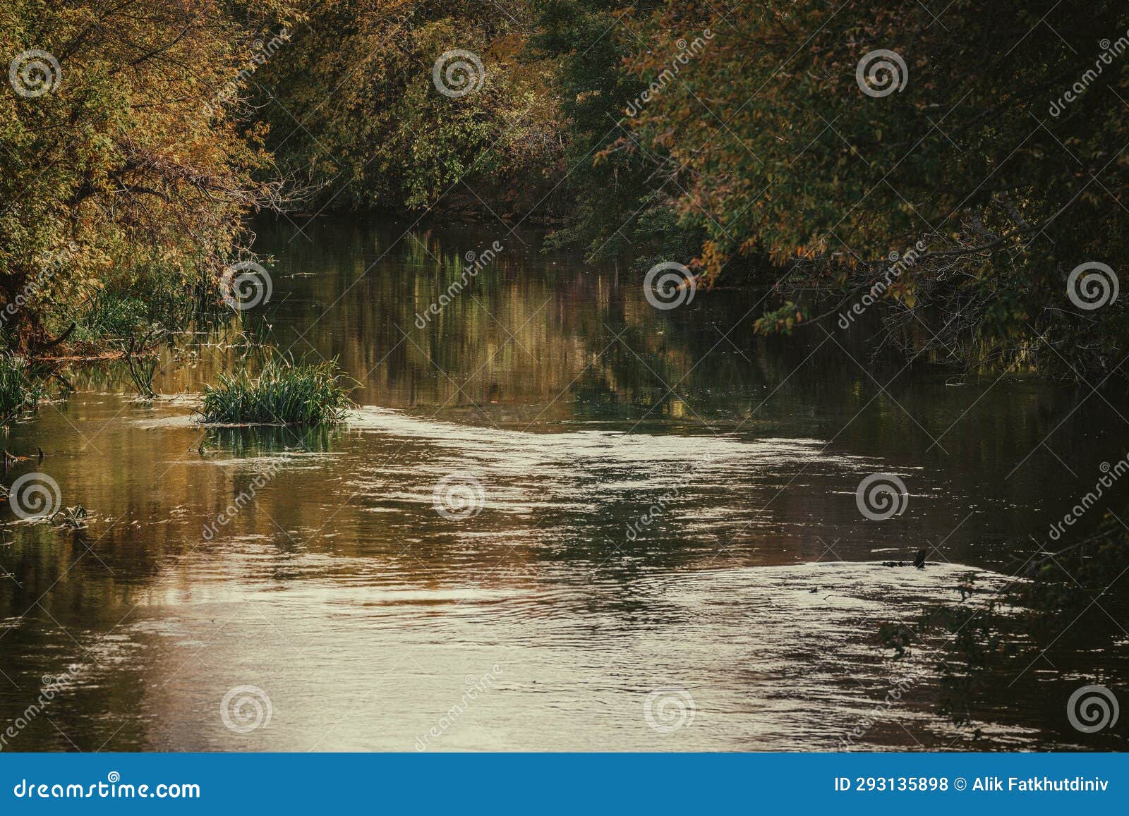 River with Fast Flow and Reflection of Trees with Yellow Leaves Stock ...
