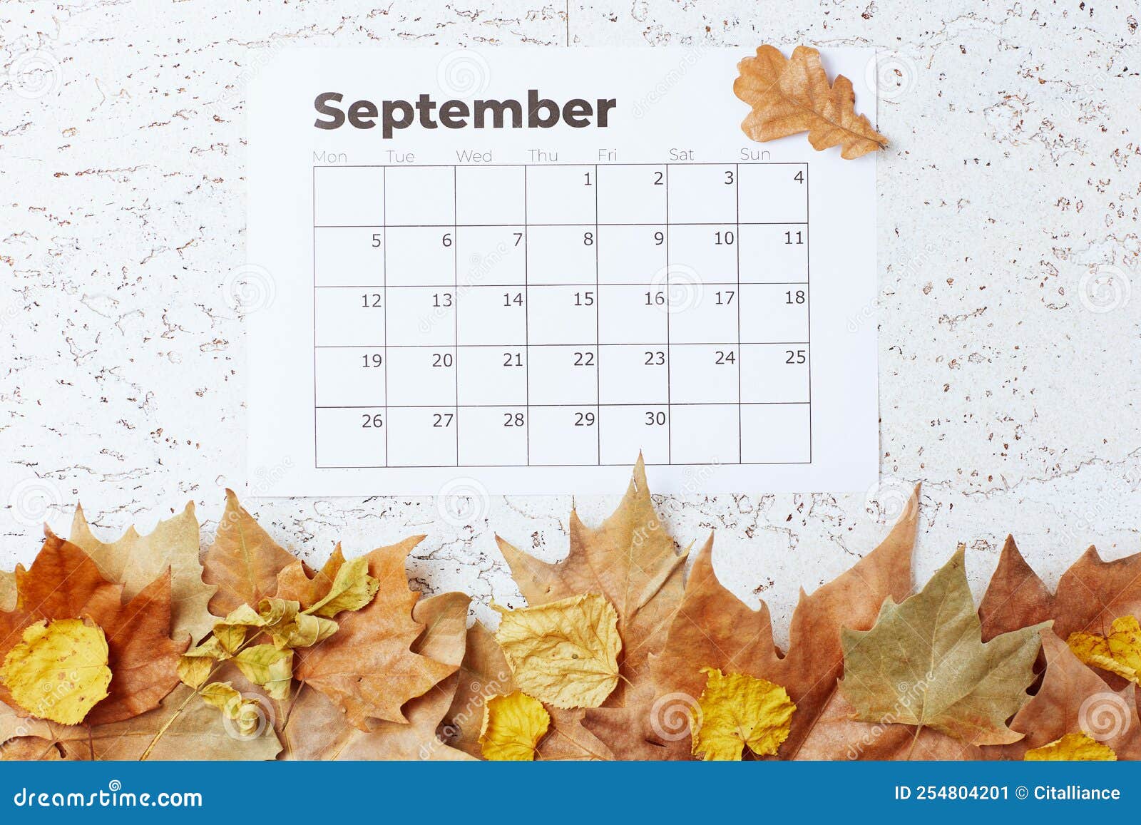 Autumn Background with September Calendar and Leaves Stock Image ...