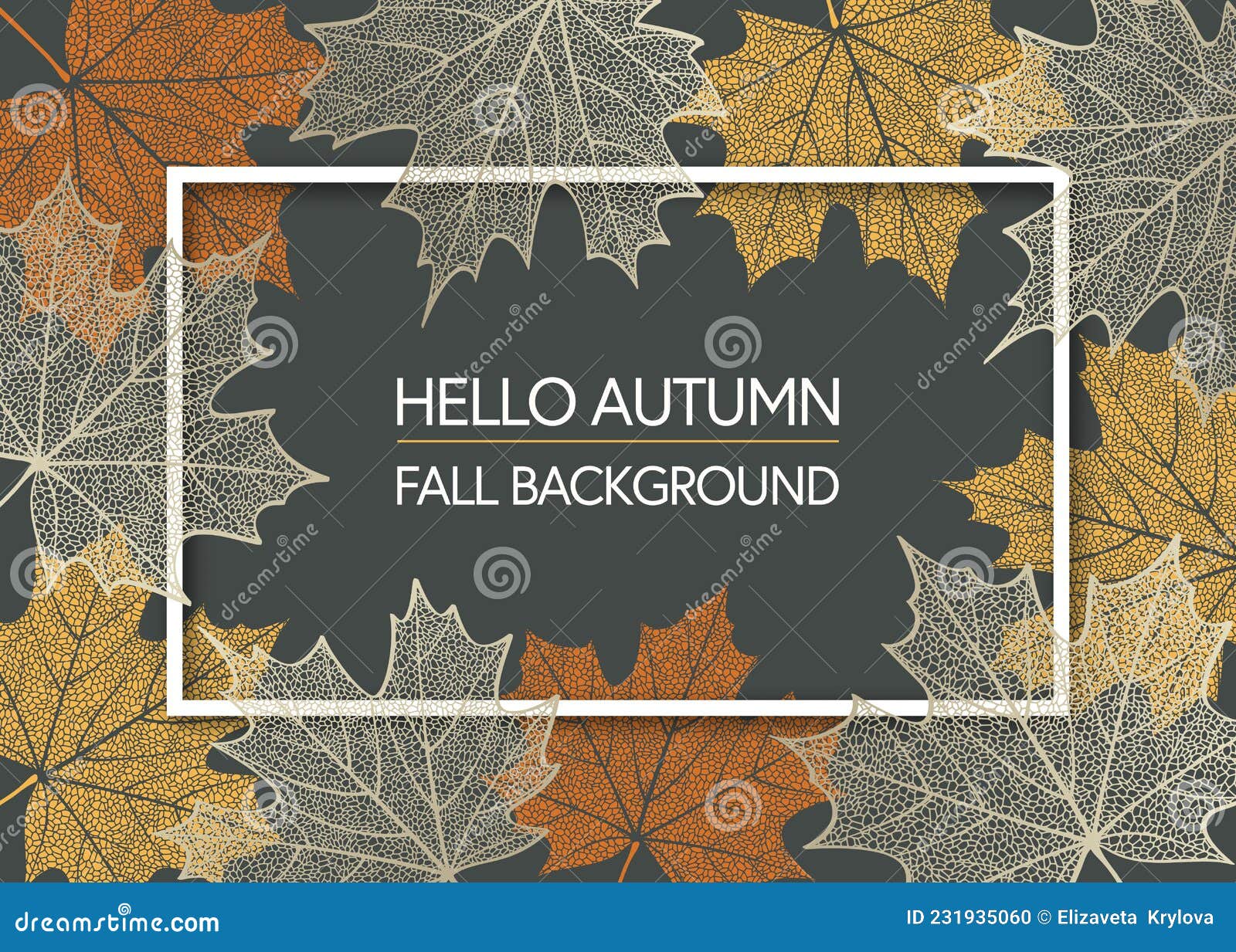 Autumn Background with Skeleton Maple Leaves. Frame Made of Fall Leaves ...