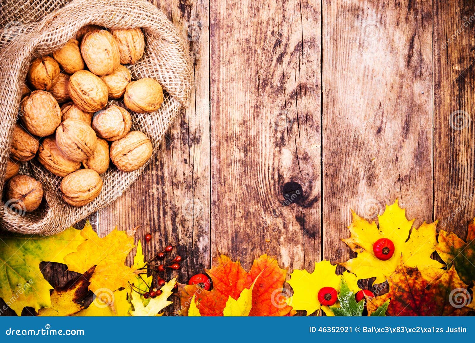 Autumn Background with Walnuts and Colorful Tree Leaves. Stock Image ...