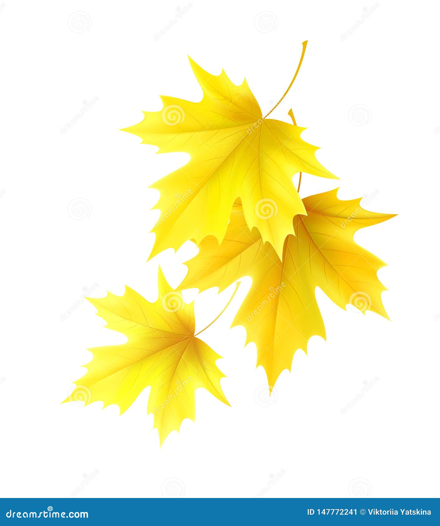 Autumn Leaf Background Cartoon Vector | CartoonDealer.com #43385067
