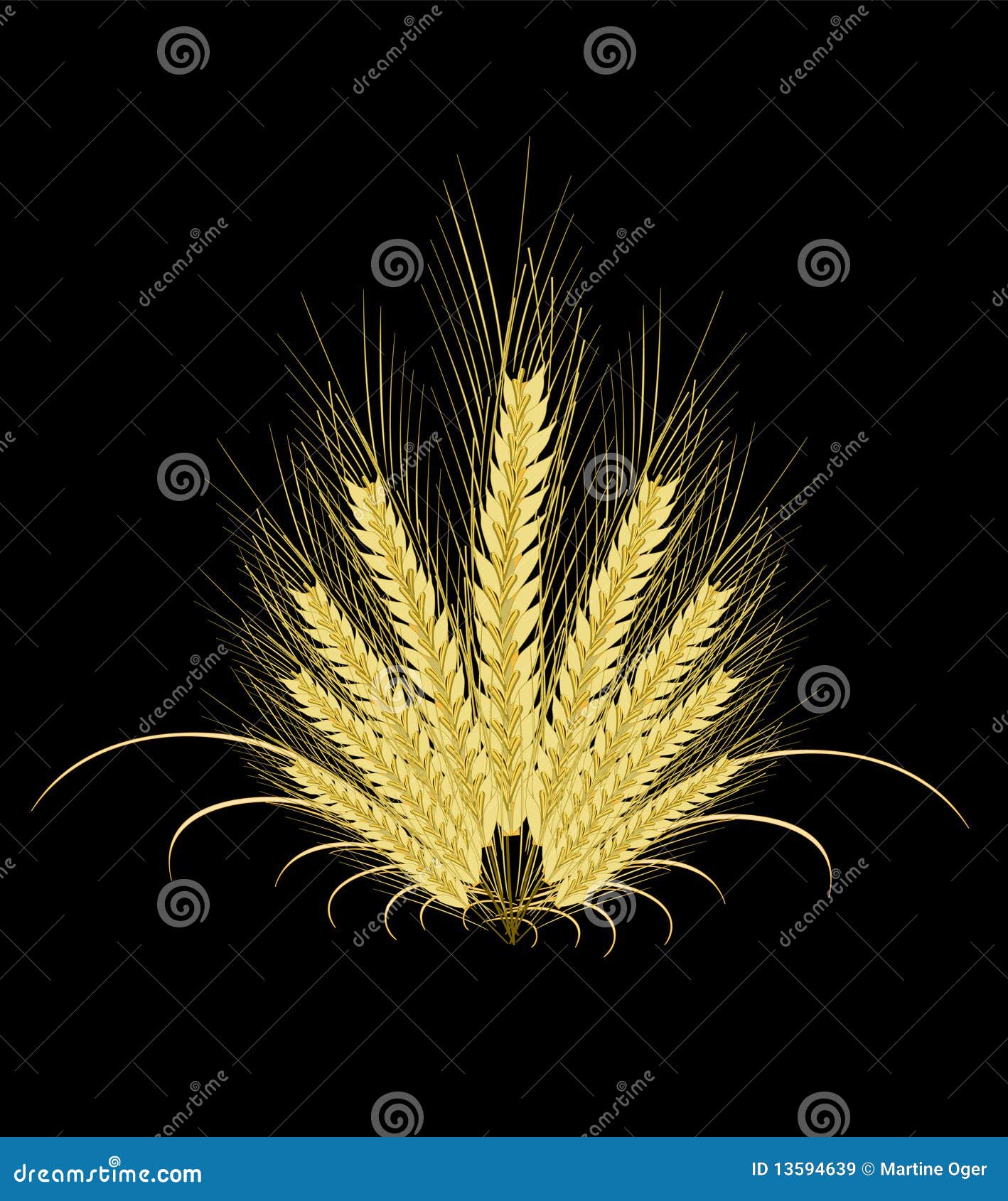 Barley Shape For Brewery Logotype. Beer Vector Logo Design Template ...