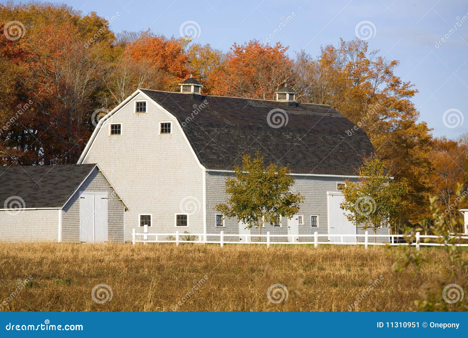 Autumn Barn stock image. Image of decorative, barn, country - 11310951