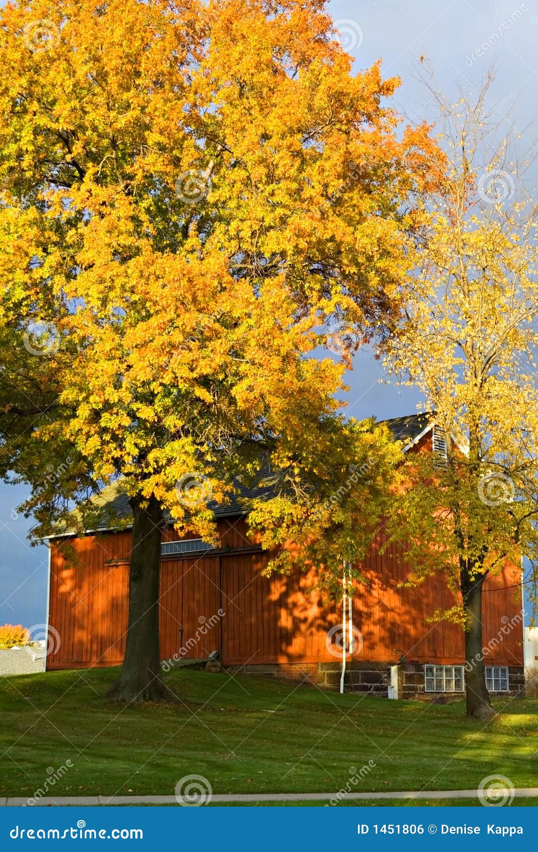 Autumn Barn stock photo. Image of sunlight, shadows, seasonal - 1451806