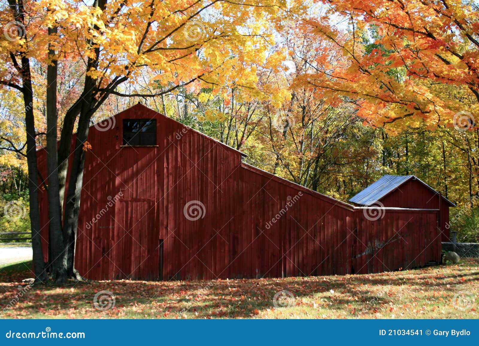 Autumn Barn stock image. Image of fall, landscapes, outdoor - 21034541